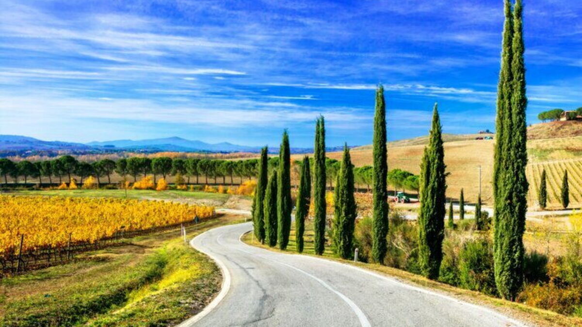 Plan Your Perfect Tuscan Escape with Salogi Villas